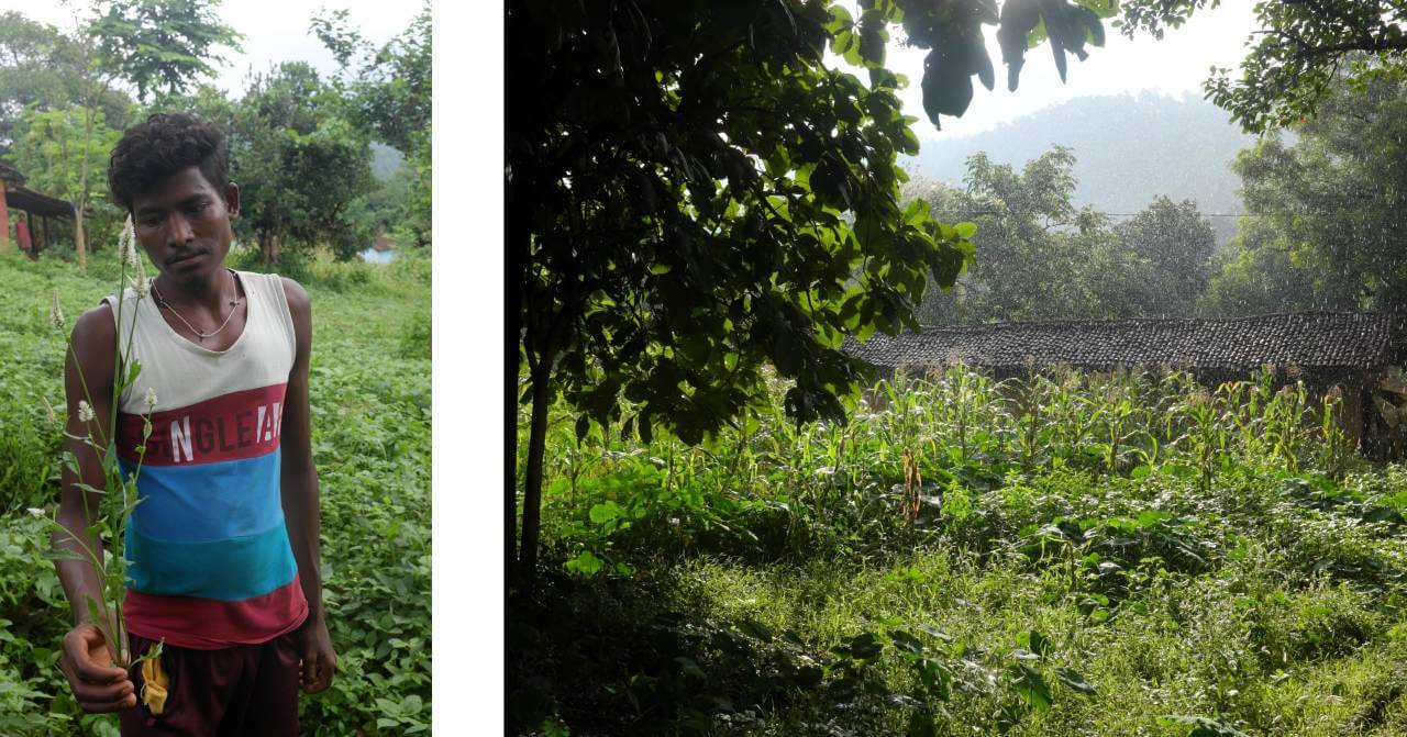 Traditional Crops and Women Farmers in Rural Jharkhand - Keystone ...
