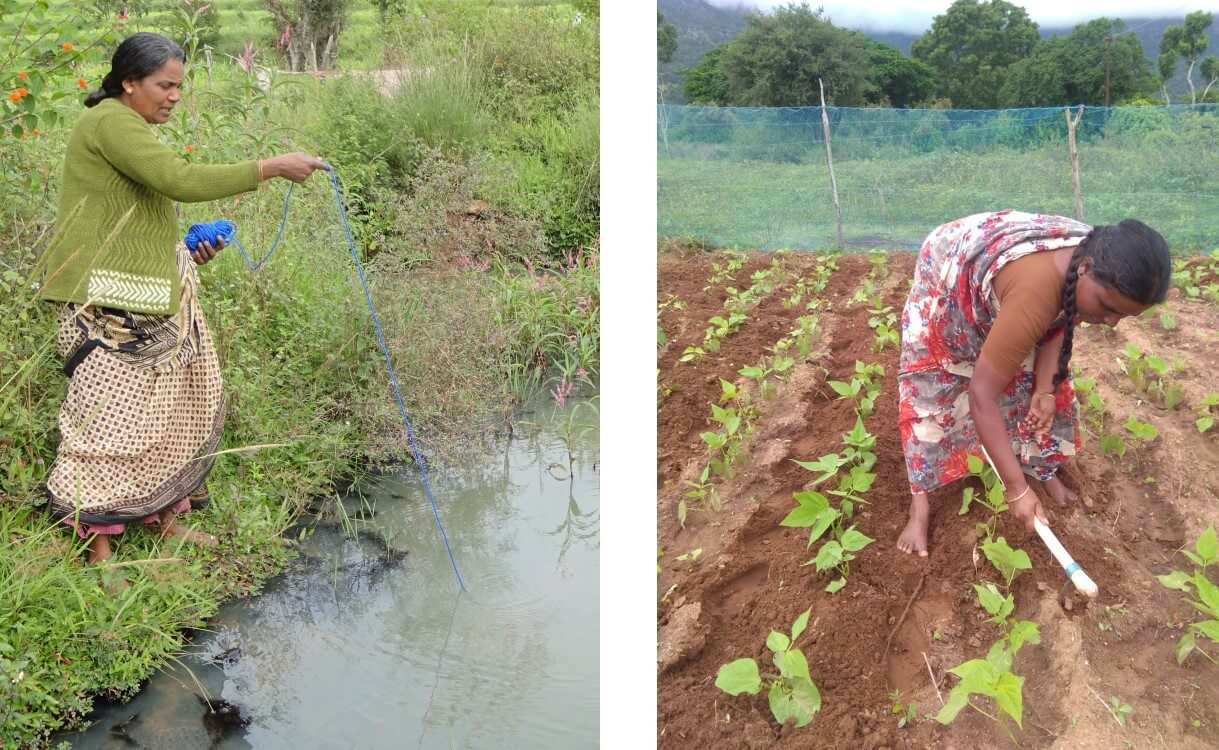 Empowering Women Barefoot Ecologists in Biodiversity Hotspots Across ...