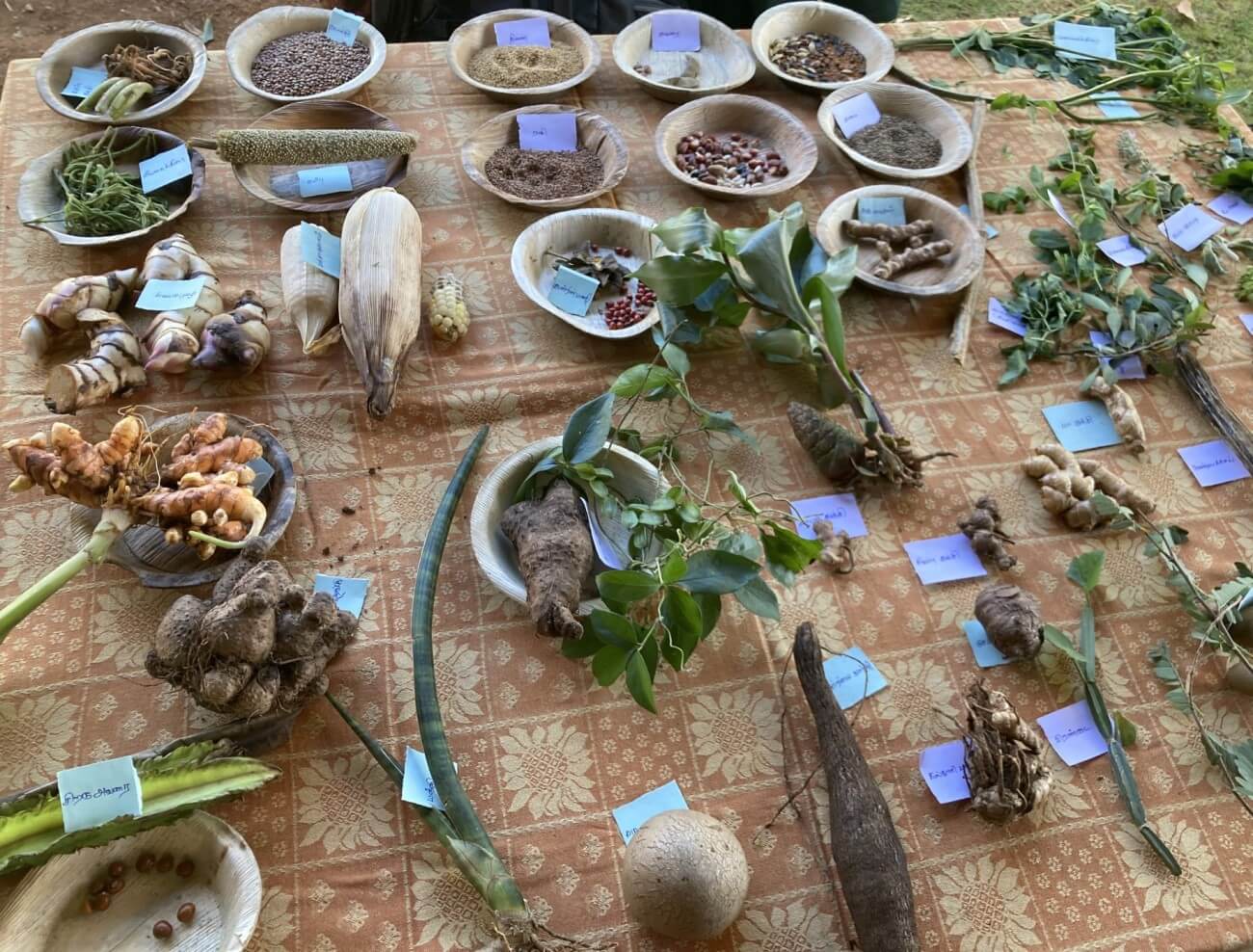 The Nilgiris Wild Food Festival 2022 - Keystone Foundation