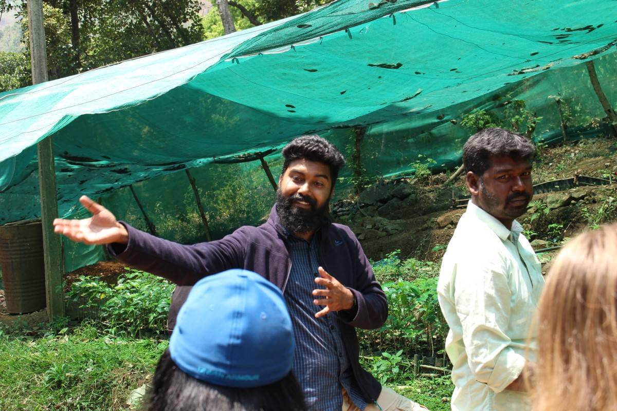 Photo Story: Swallows Visit Aracode - Keystone Foundation