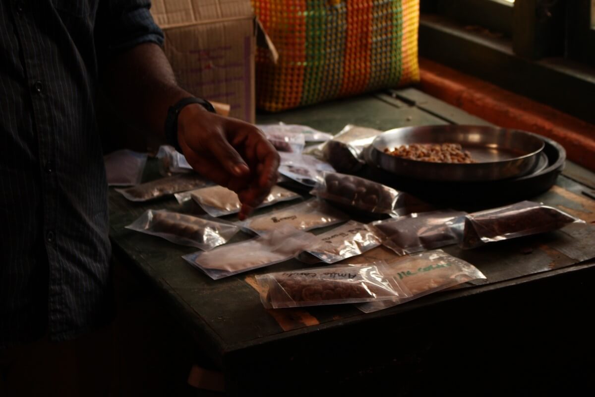 Photo Story: Swallows Visit Aracode - Keystone Foundation